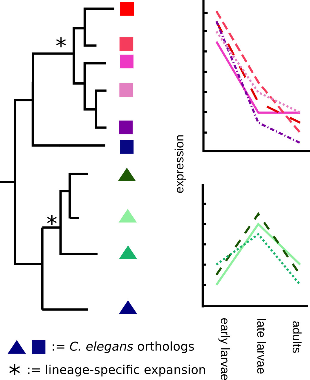 Evolutionary Genomics and Bioinformatics
